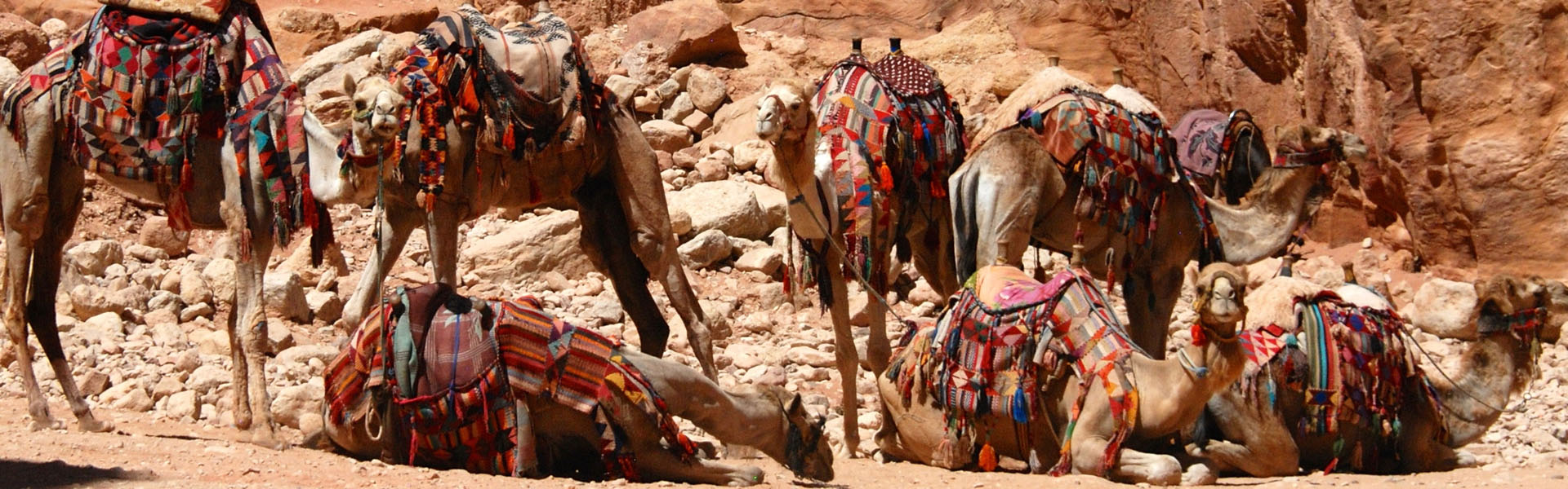 TEACHING AIDES - American Society of Overseas Research (ASOR)